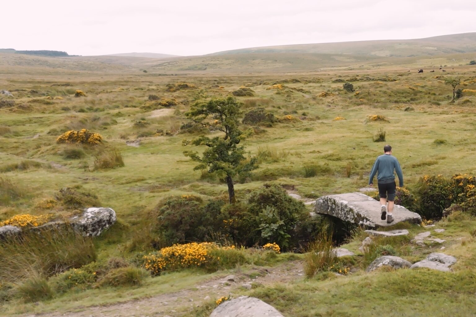 Walking & Cycling Tours in the UK - Active England Tours