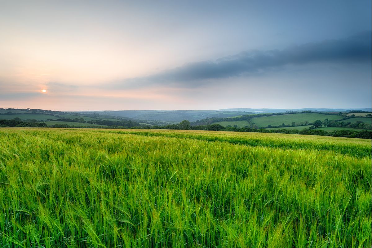 A Spotter’s Guide to English Beer - Active England