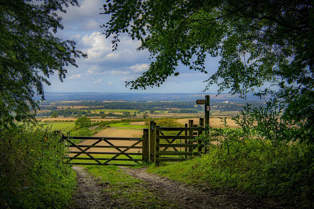 Long Distance Hiking Trails in the UK - Active England