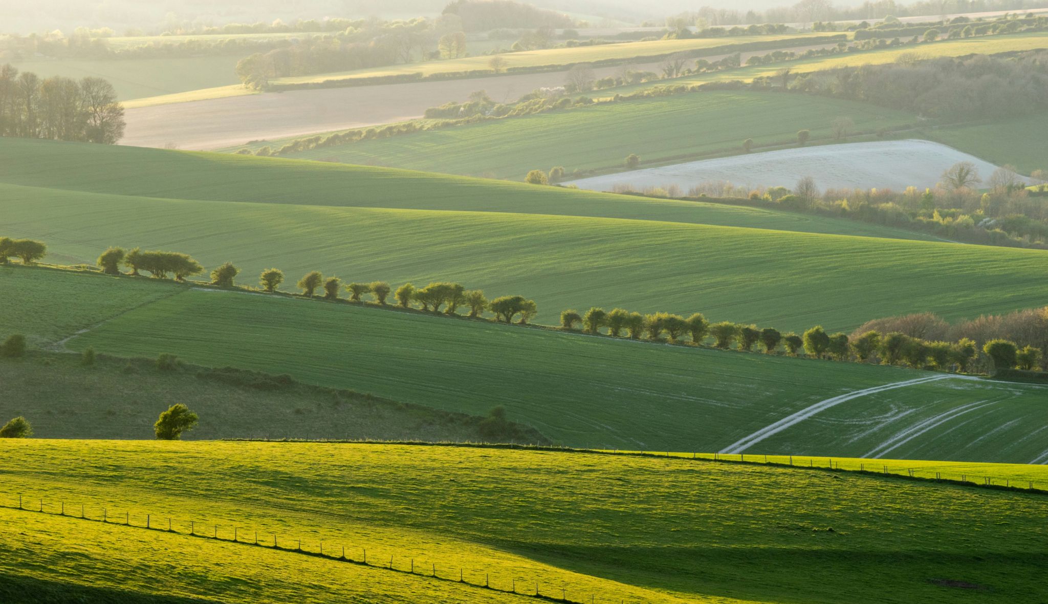 A Guide to Walking the South Downs Way - Active England